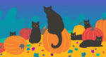 History & Superstition Of Black Cats: Facts and Fiction | California ...
