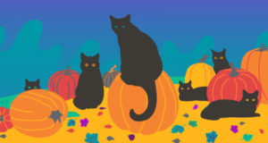 History & Superstition Of Black Cats: Facts and Fiction | California ...