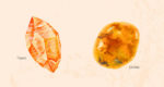 All About Topaz and Cirtrine: November Birthstones | California Psychics