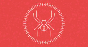 Seeing Spiders Spiritual Meaning - What Do Spiders Symbolize ...