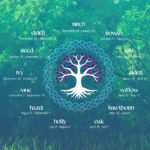 What Is Your Celtic Tree Birth Sign: Celtic Tree Zodiac Signs ...