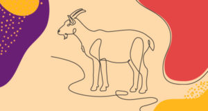 Spiritual Meaning & Symbolism Of Seeing A Goat: What Does A Goat ...