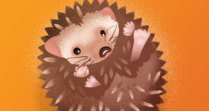 The Meaning of a Hedgehog Sighting | California Psychics
